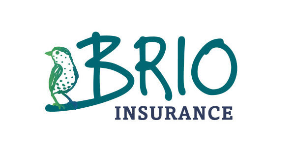 Senior Property Insurance Specialist (Full Time Permanent) Brio St Mary ...